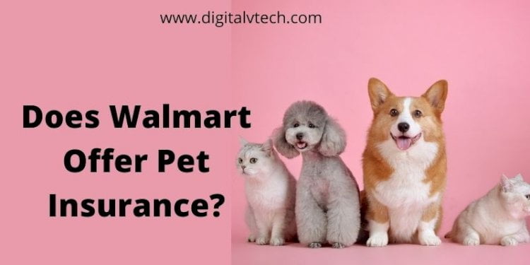 Does Walmart Offer Pet Insurance DIGITALVTECH does-walmart-offer-pet-insurance-digitalvtech